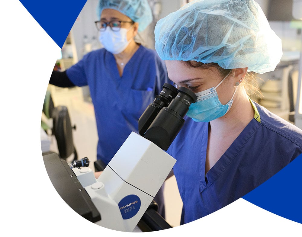 Embryo Testing | Illume Fertility