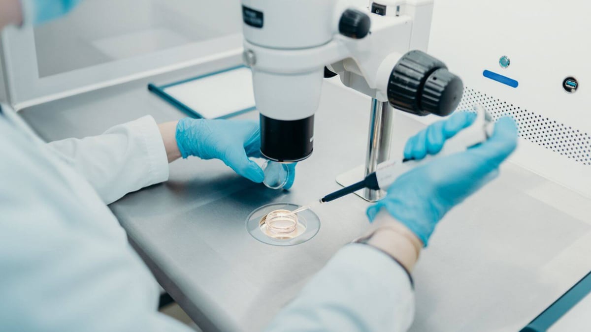 Day 3 vs. Day 5 Embryos: The Benefits of Transferring Blastocysts