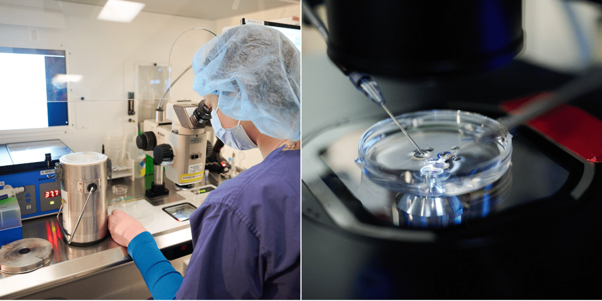 A Day in the Life of an Embryologist: Behind the Scenes of IVF