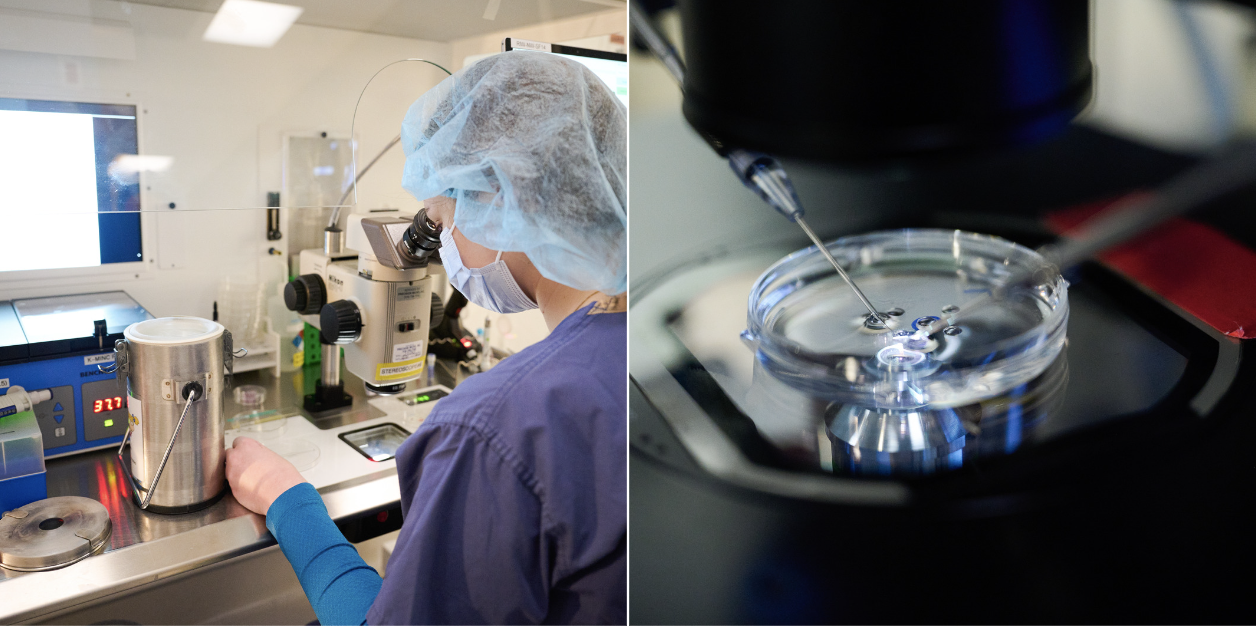 A Day in the Life of an Embryologist: Behind the Scenes of IVF