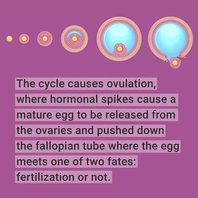 Irregular Periods and Infertility: Possible Causes